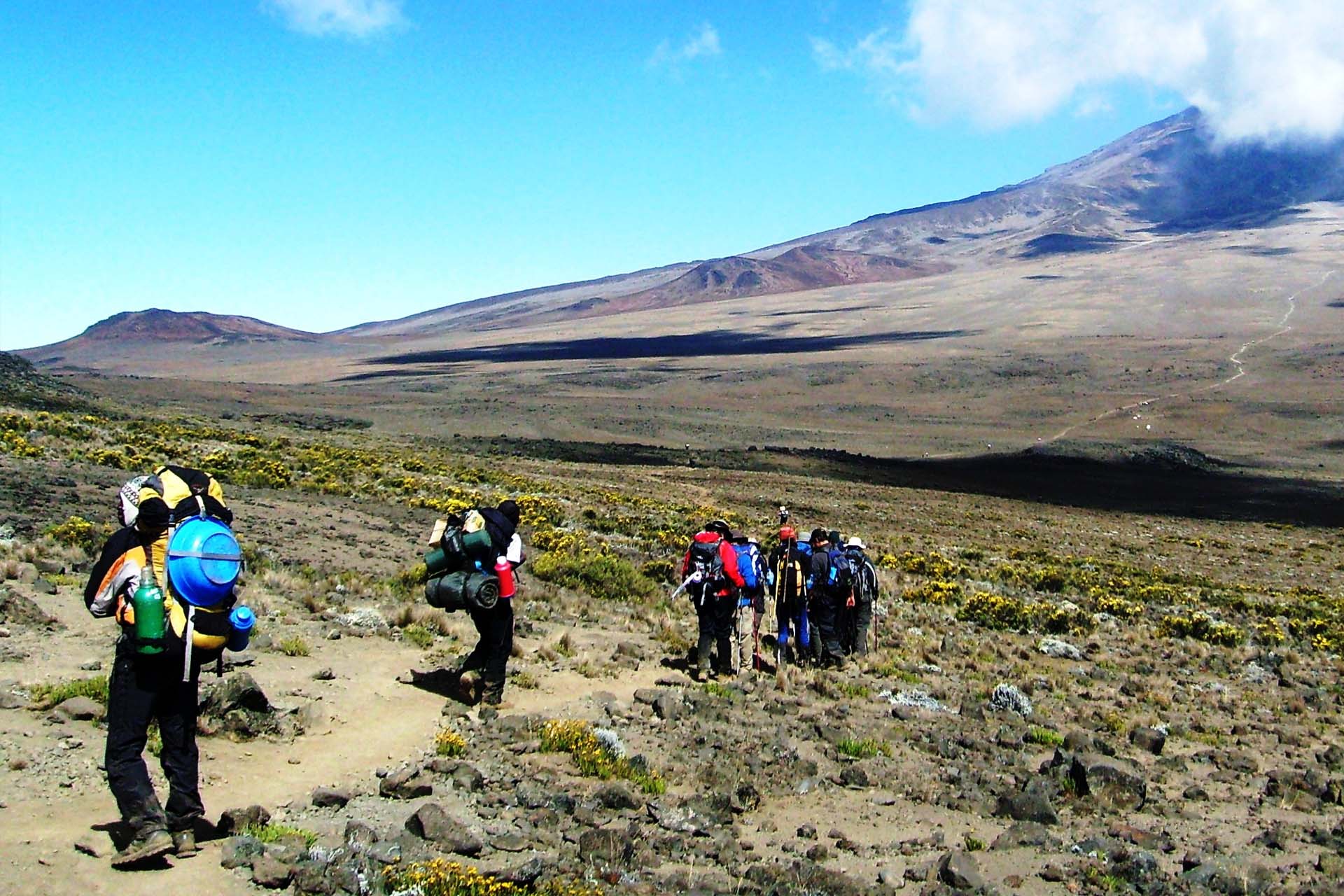 7 Days Rongai Route - Kilimanjaro Trekking Guides